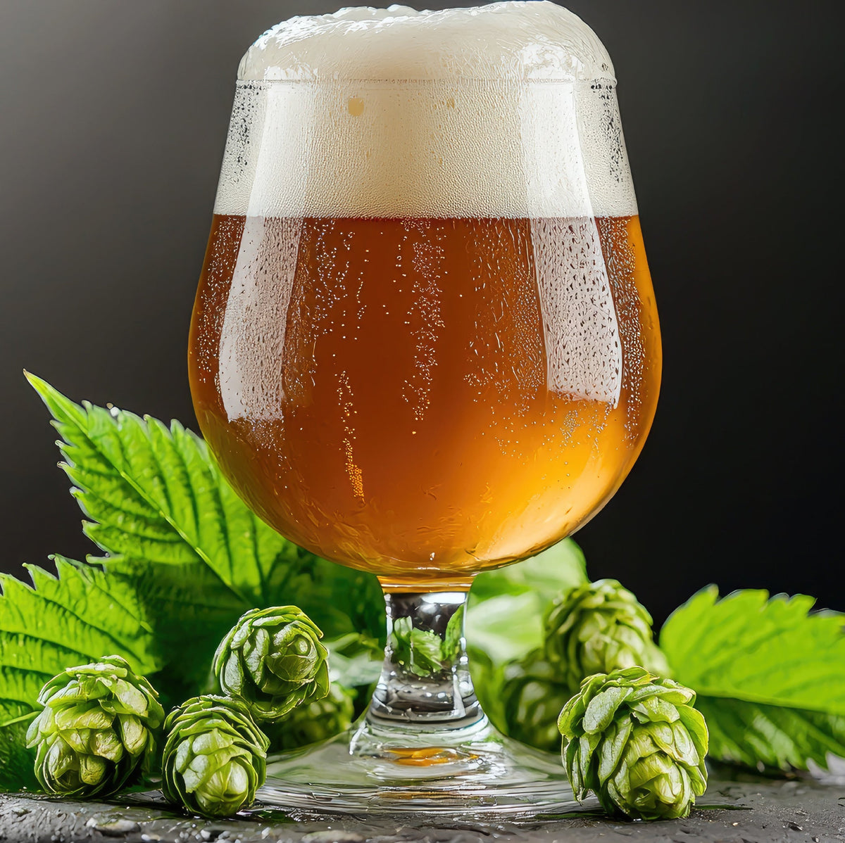 5 Gallon Beer Kits – Home Brew Stuff